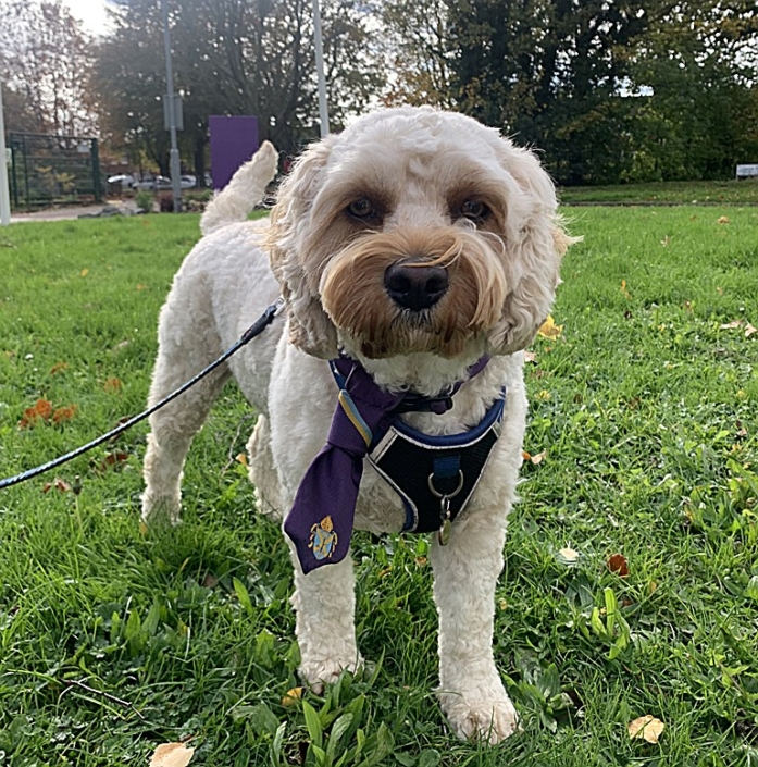 Our Team – Townsend Church of England School